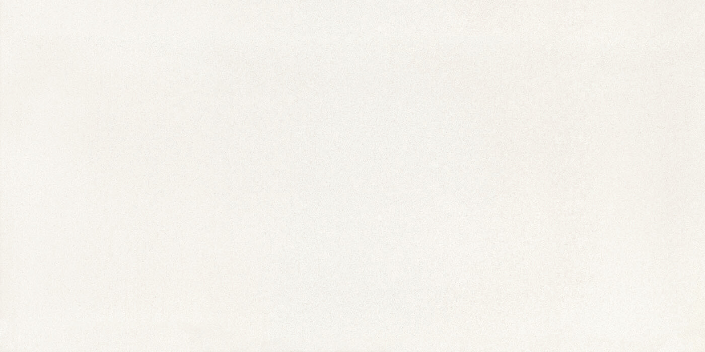 Snow Flurry - H. J. Oldenkamp