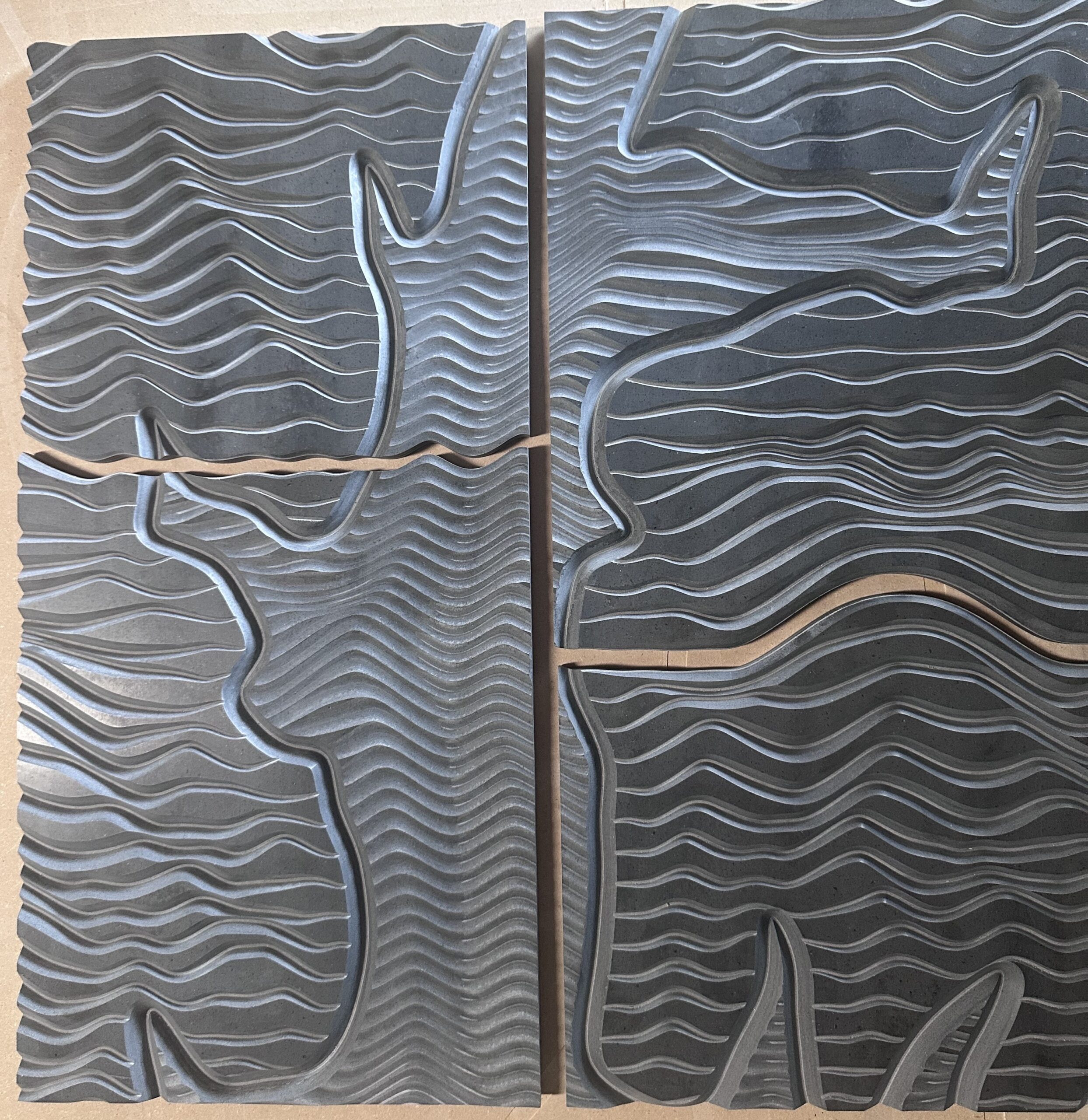 Mapping the Wisconsin River Through Seven Floors - H. J. Oldenkamp